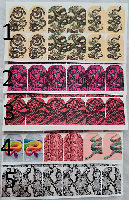 Decal sticker al agua de serpiente, víbora - Bloom Point