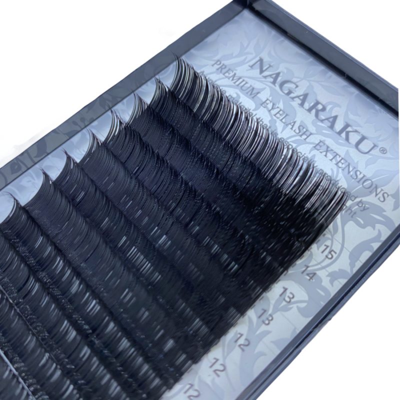 Inicio - Bloom Point